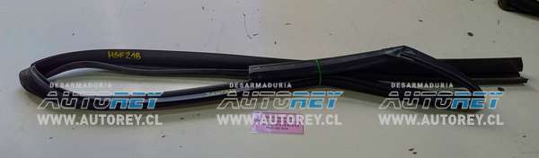 Goma Vidrio Puerta Trasera Izquierda (HSF218) Hyundai Santa Fe GLS 2.4 MEC 4×2 2014 ...